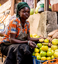 Indo Zambia Bank - IZB